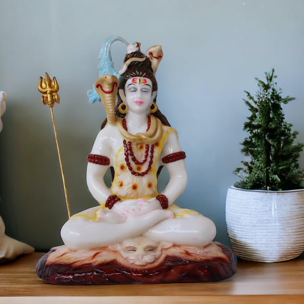 Buy Shiv Samadhi Pastel Series by Satgurus Online – Satguru's